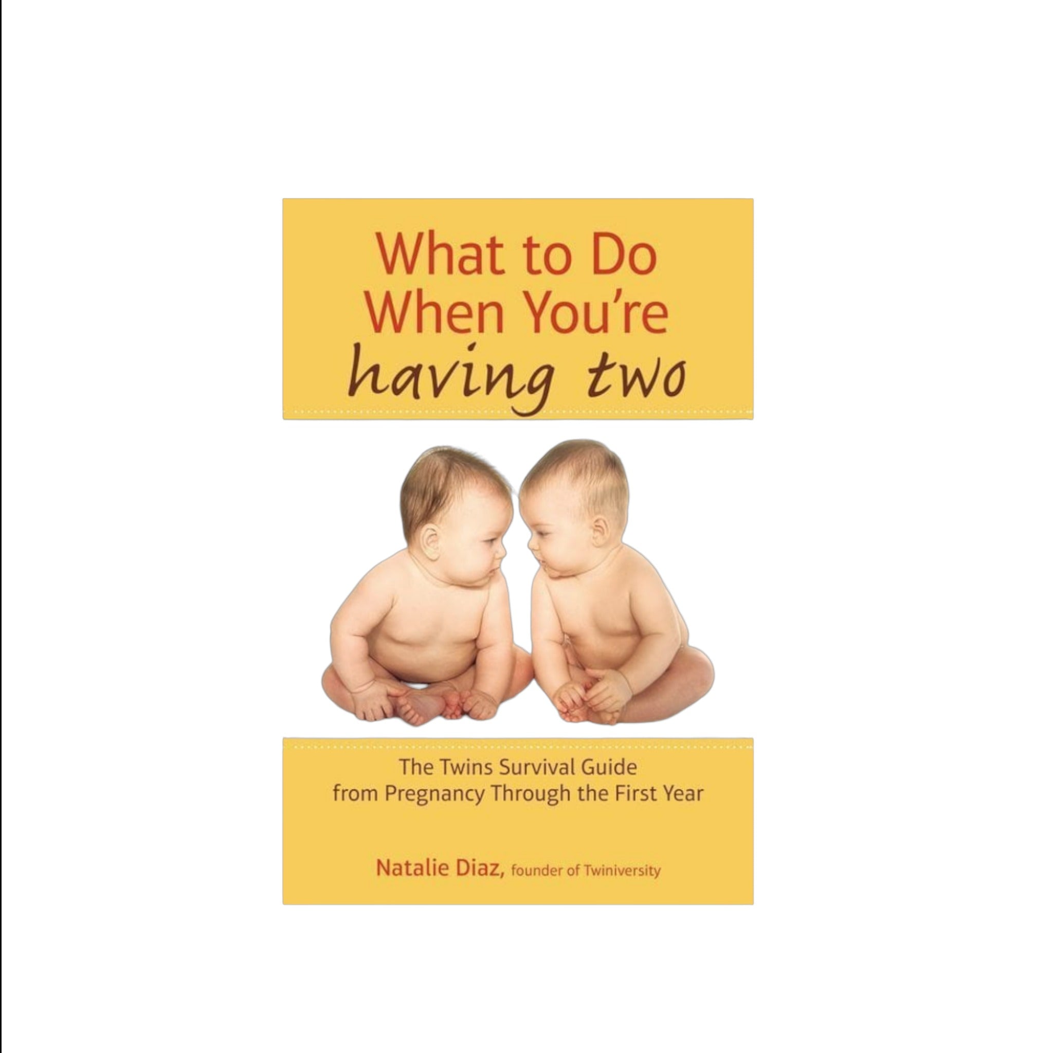 Libro What to do when you re having two – Effluz